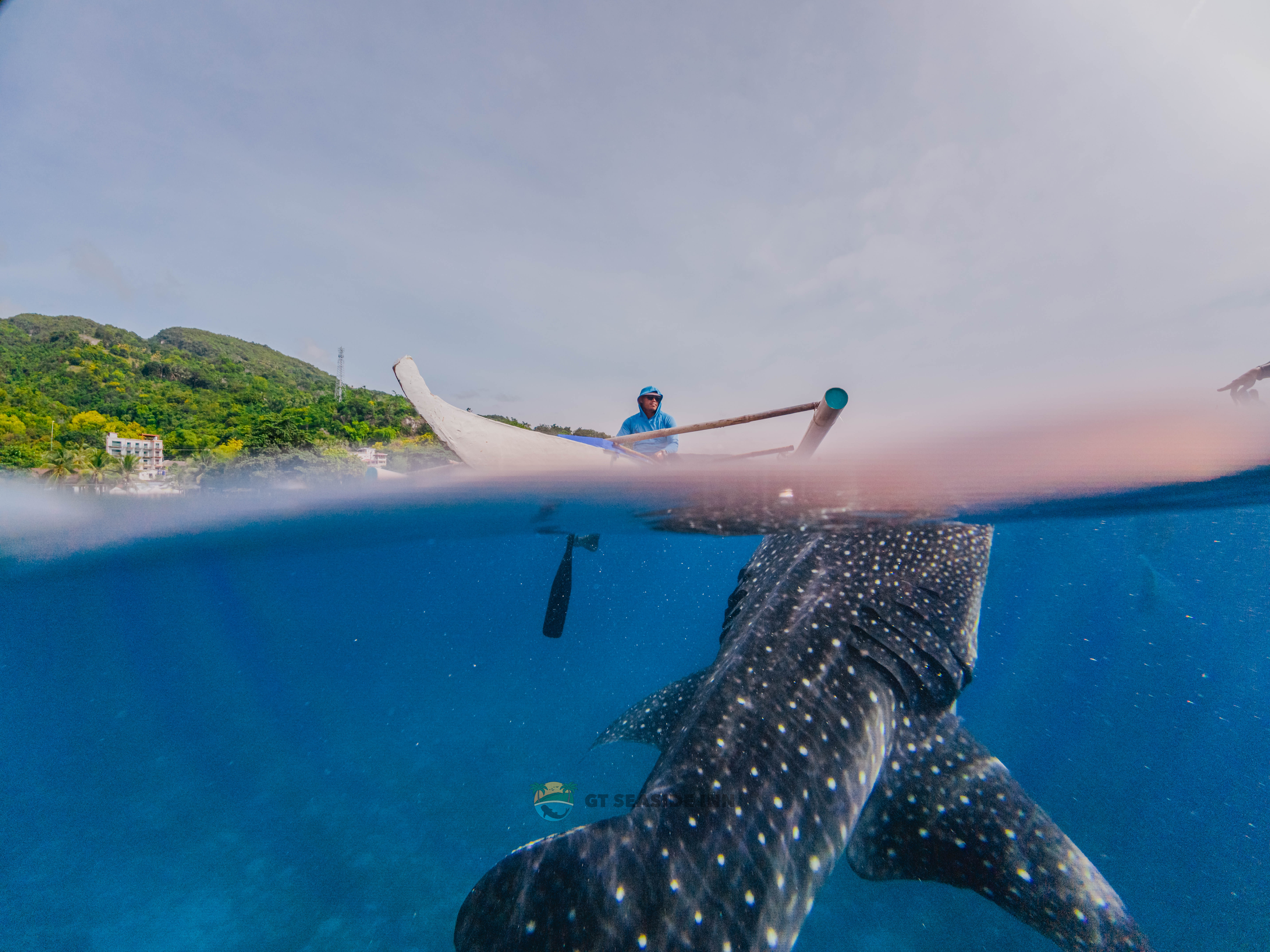 Oslob Activities