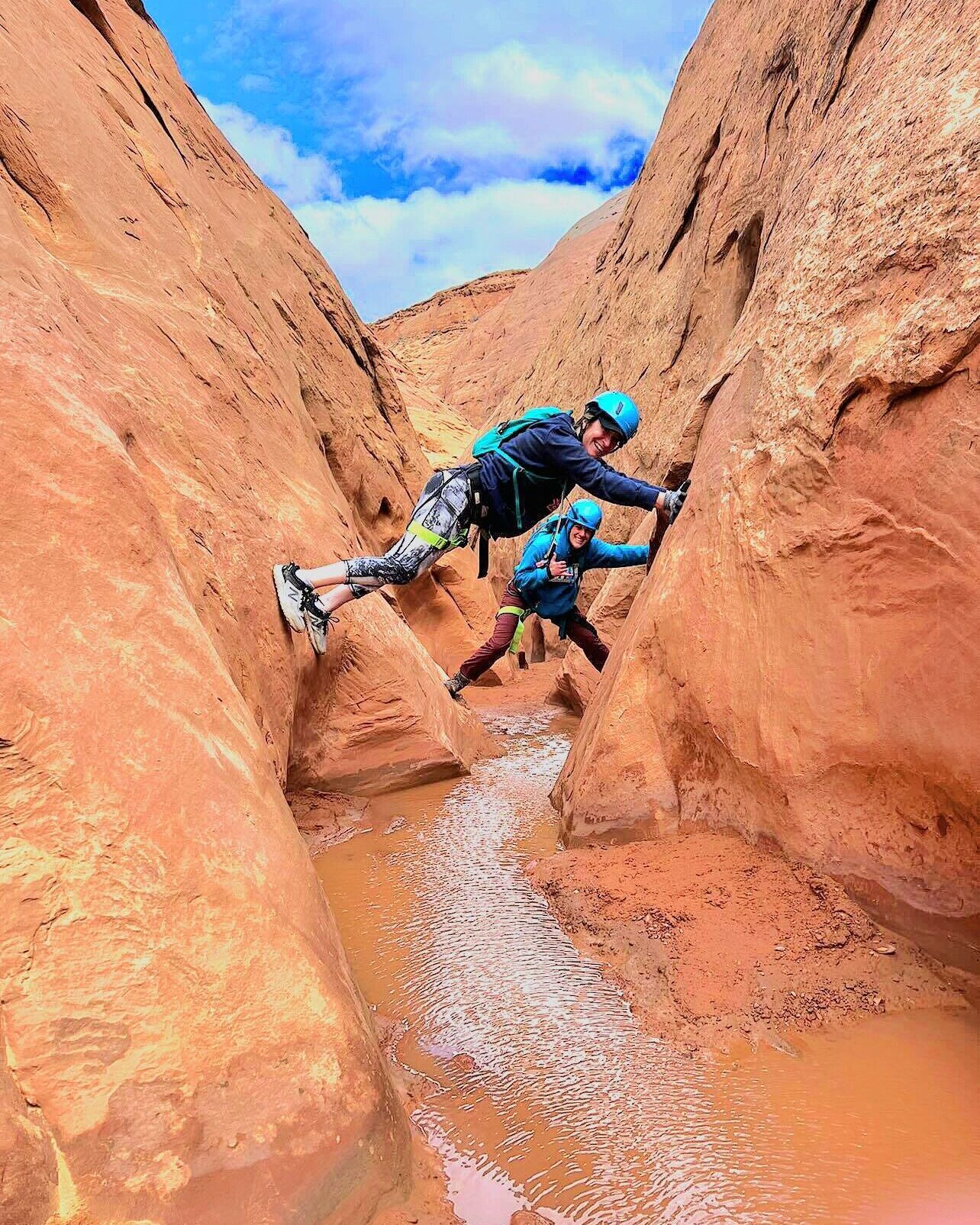 Wild Expeditions