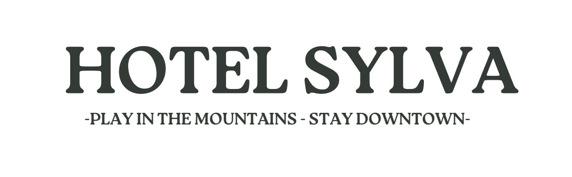 Hotel Sylva | Guest App Login